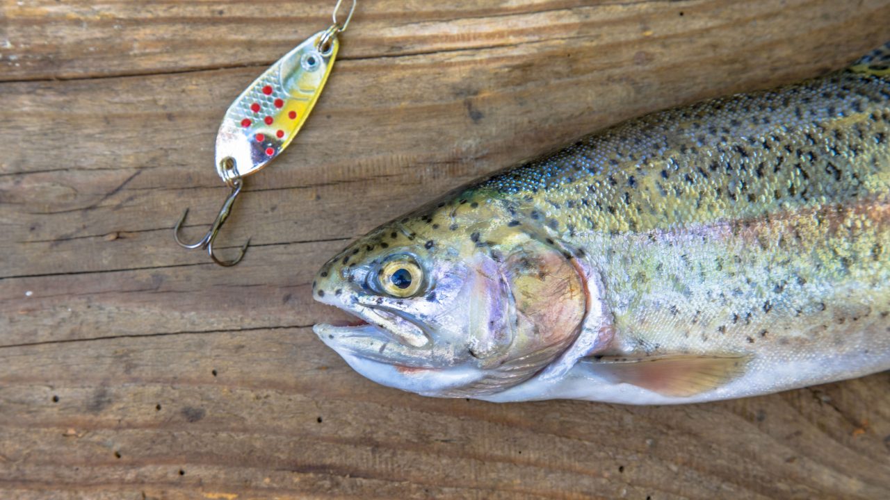 River Fishing - Alaskan Destinations